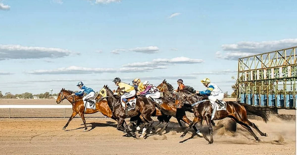Chasing the Golden Triangle - What's On in Moree Plains
